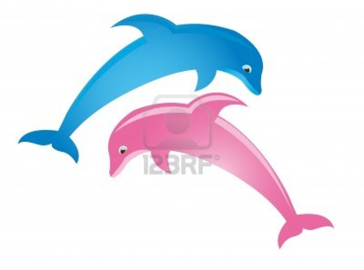 Delfín Azul Club de Fútbol 1998 EA página oficial: Nace el Delfín Azul ...