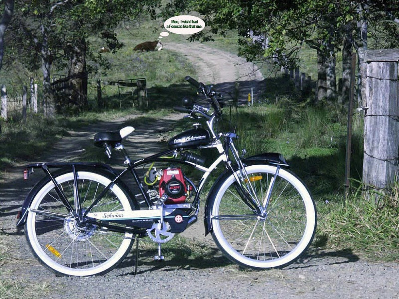 RSM Motorized Bikes: Coming Soon to RSM Gas Powered Motorized Bicycles