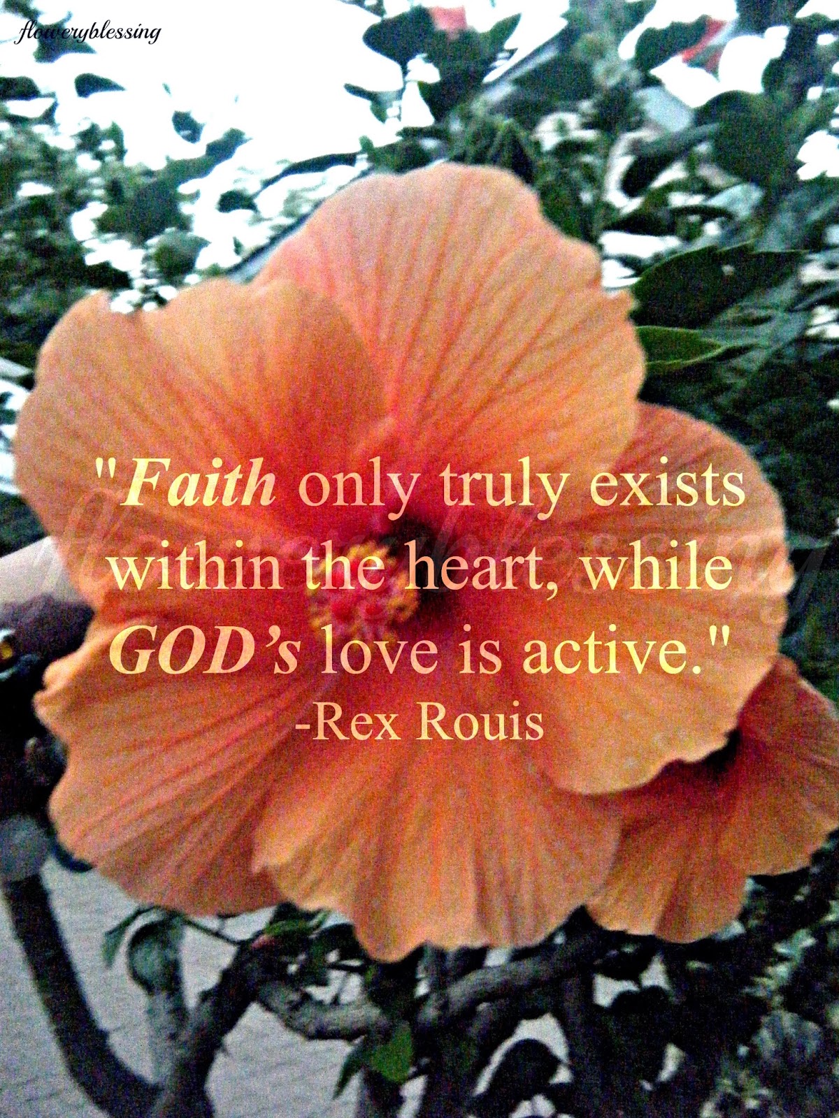 Flowery Blessing: January 2014