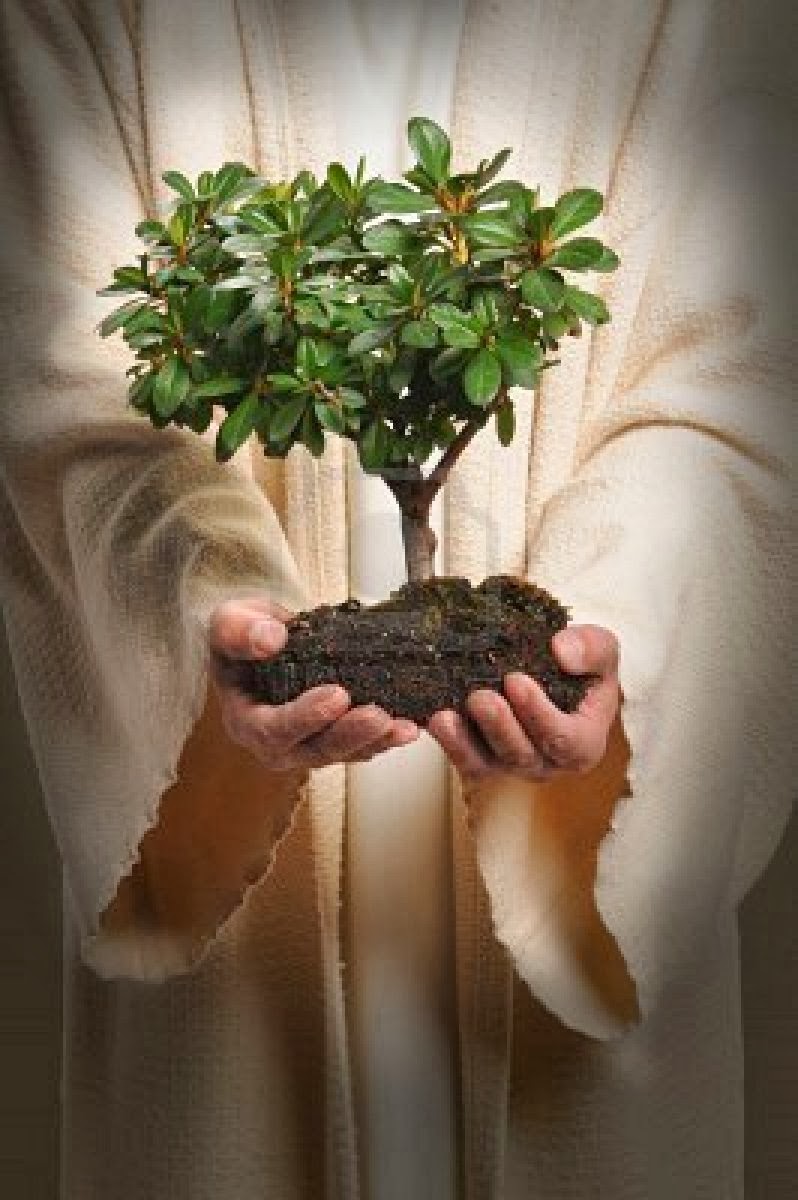 Madrid Malayalis: Greetings to FCC Sisters in Madrid - the Congregation ...