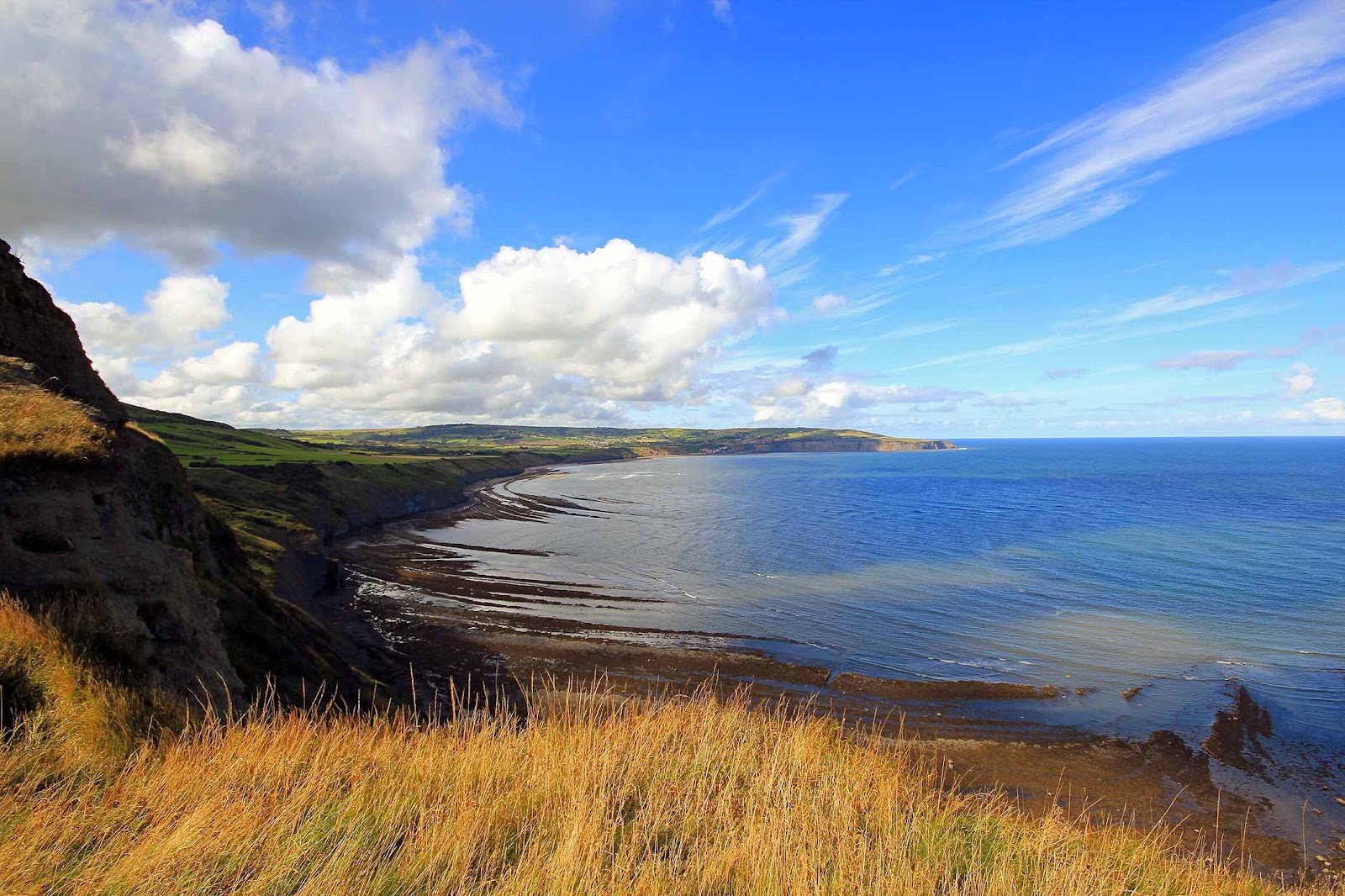 Wildlife and Landscapes: Beautiful Ravenscar