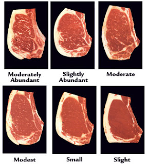 THEORY OF FOOD TDC 111: Chapter 4: Understanding Meat and Game
