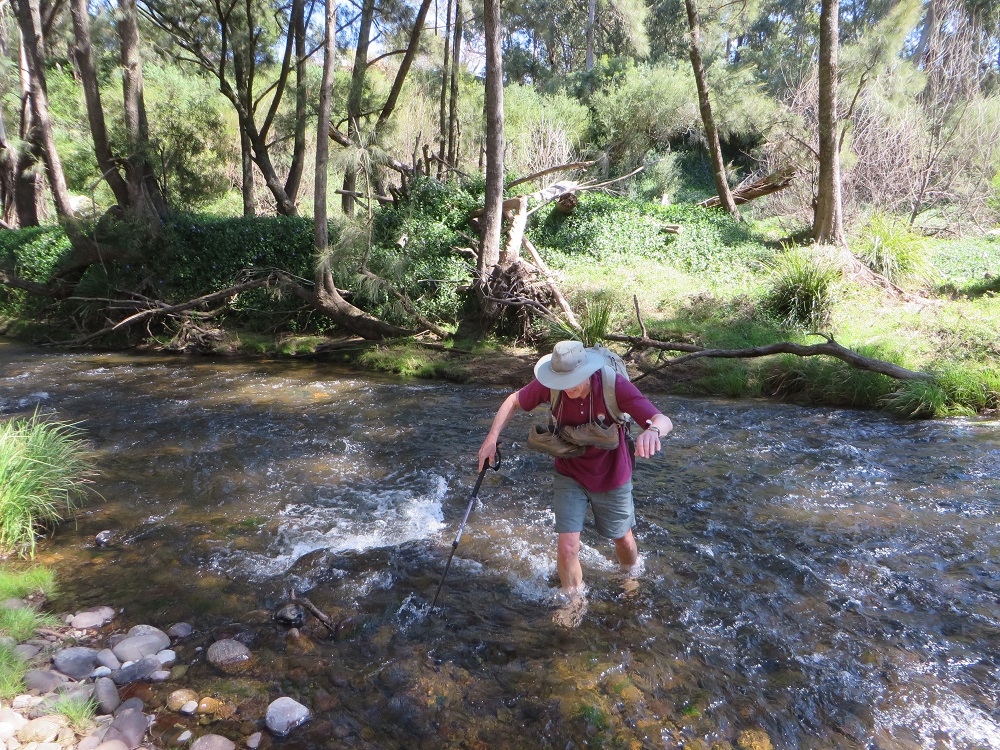 Bega Valley Bushwalkers 2015 archive: 27 September - Along the Brogo River