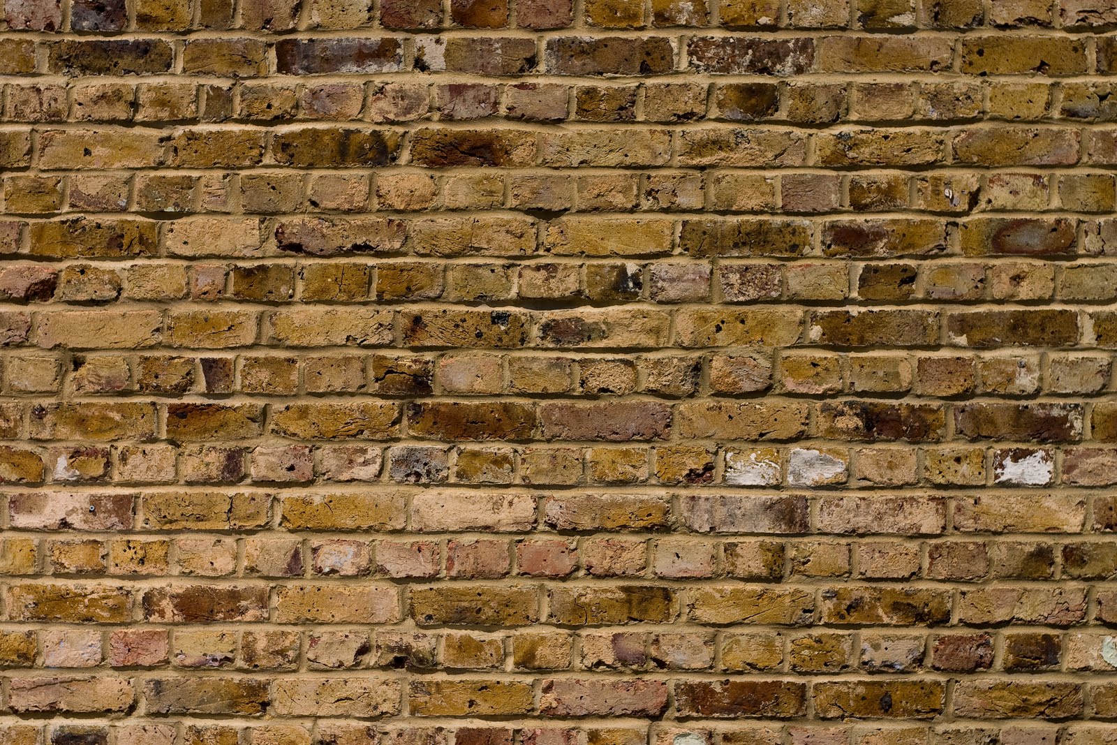 Texturas de Paredes - Walls Textures | Fotos e Imágenes en FOTOBLOG X