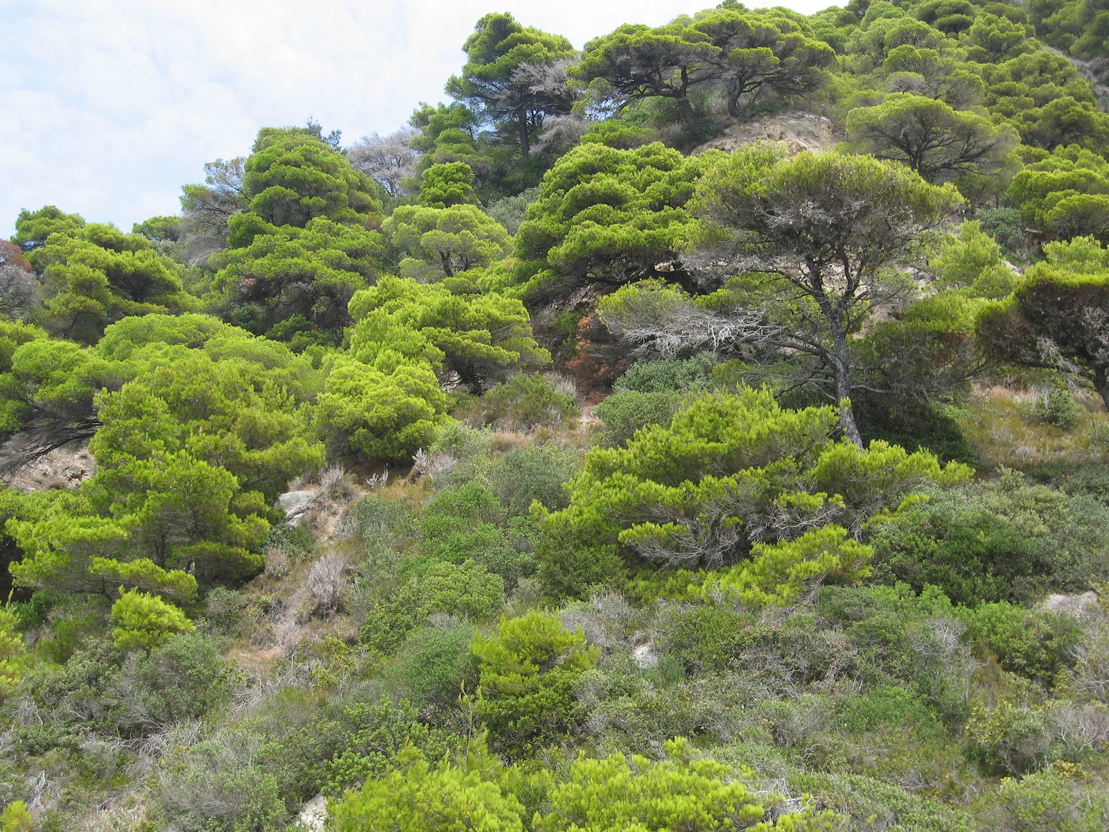 Impresii de calatorie: Vacanta in Corfu (Kerkyra) - Grecia / Holidays ...