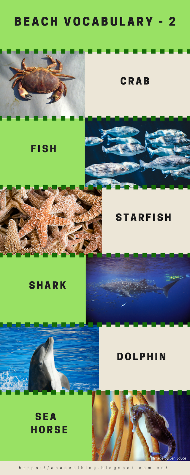 CPI Tino Grandío Bilingual Sections: Beach vocabulary 2