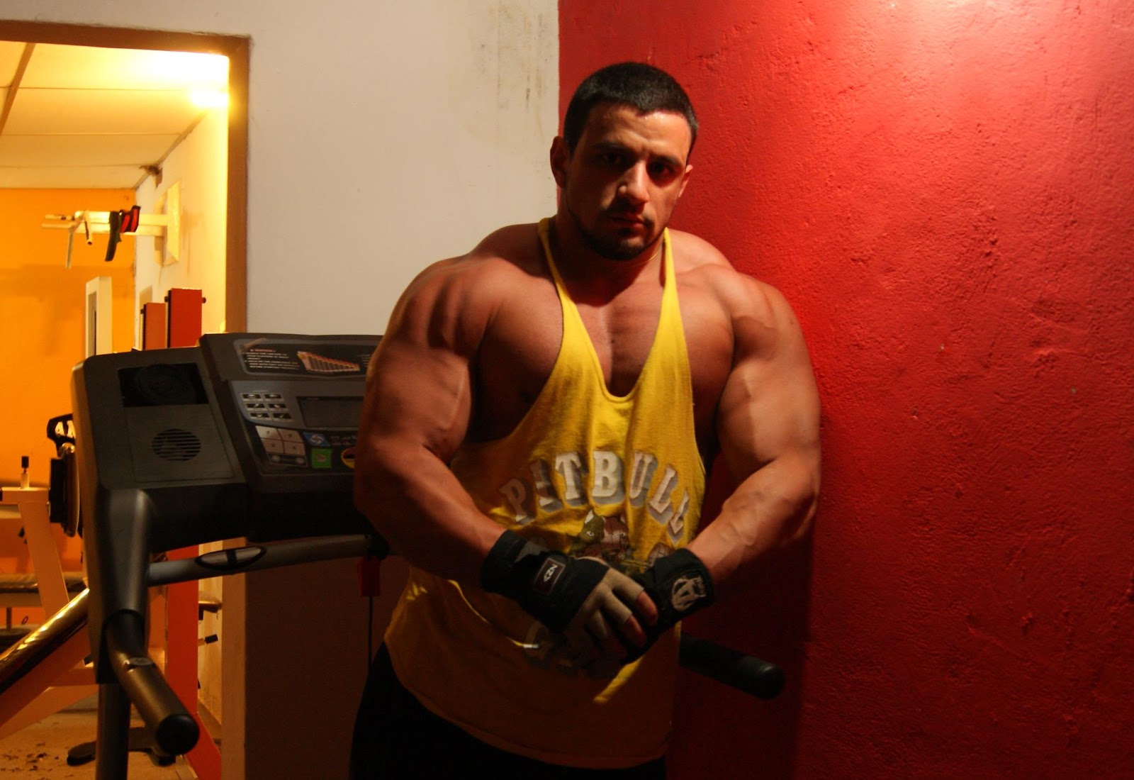 Bodybuilding Junction: April muscle mix