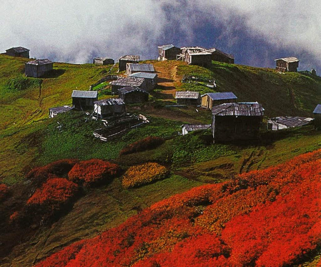 Turkey Travel Advisory: Artvin