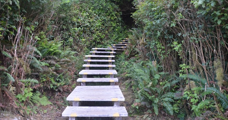 Safe Harbour: Day 33: Friendly Cove to Hot Spring Cove