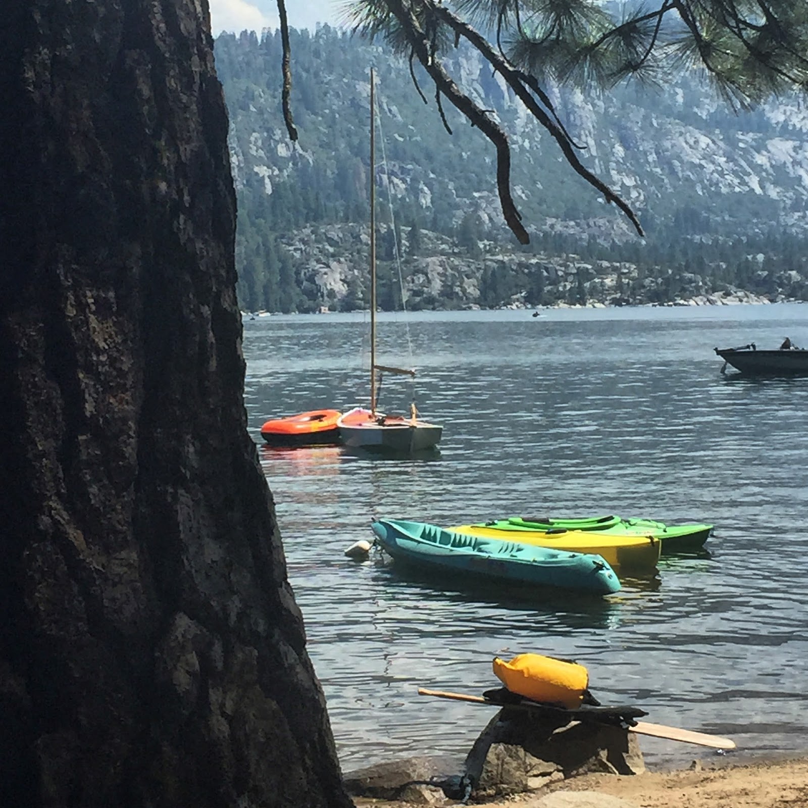 Gone Camping or Glamping...Pinecrest Lake Resort - Northern California ...