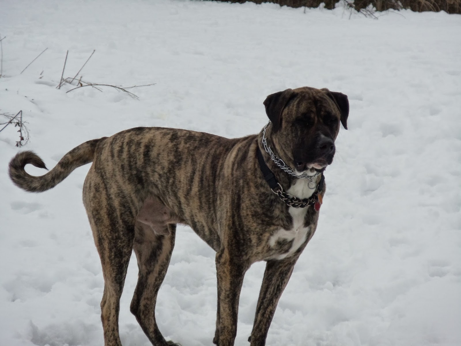 Fila Service Crew: Latest News...