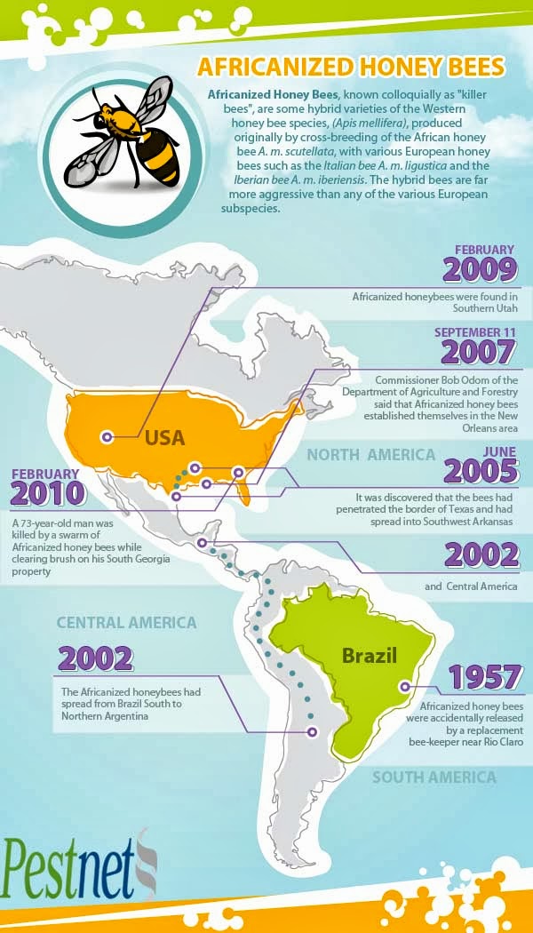 CORONA APICULTORES: ABEJAS AFRICANIZADAS