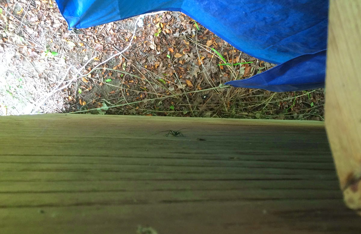 RiverEdge: Roof Rafters 18