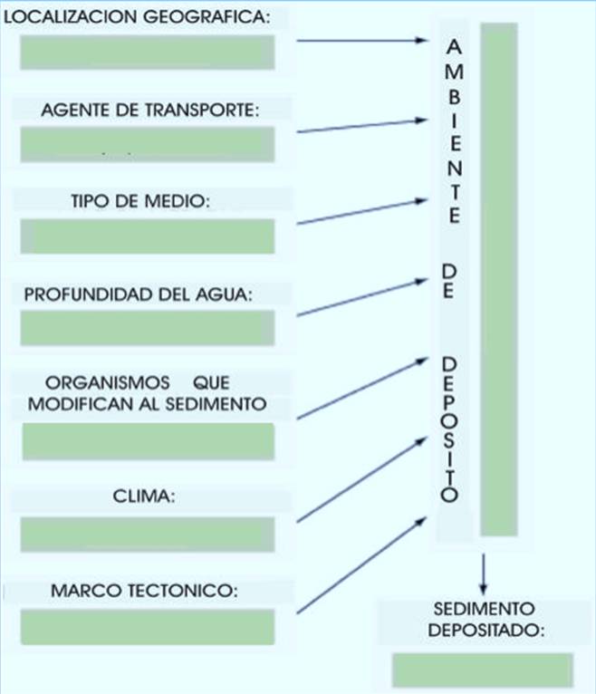Ambiente Sedimentario Marino