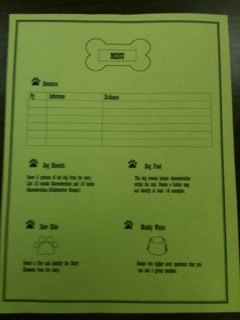 Teaching with Style: The Night I Followed My Dog