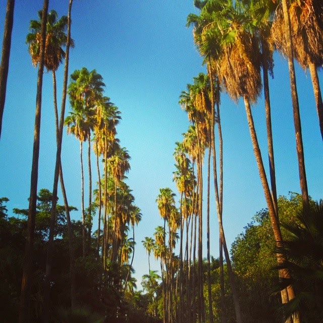 Los MochisTurismo: 10 Cosas que no puedes dejar de hacer en el Parque ...