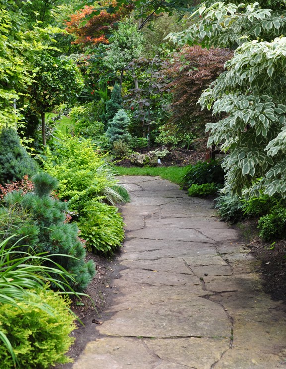 Three Dogs in a Garden: Using Lines to Advantage in a Garden Setting