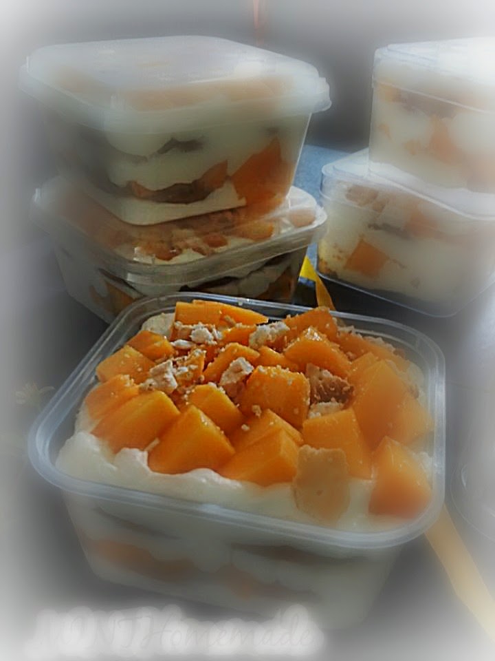 my mintroom: Mango Float