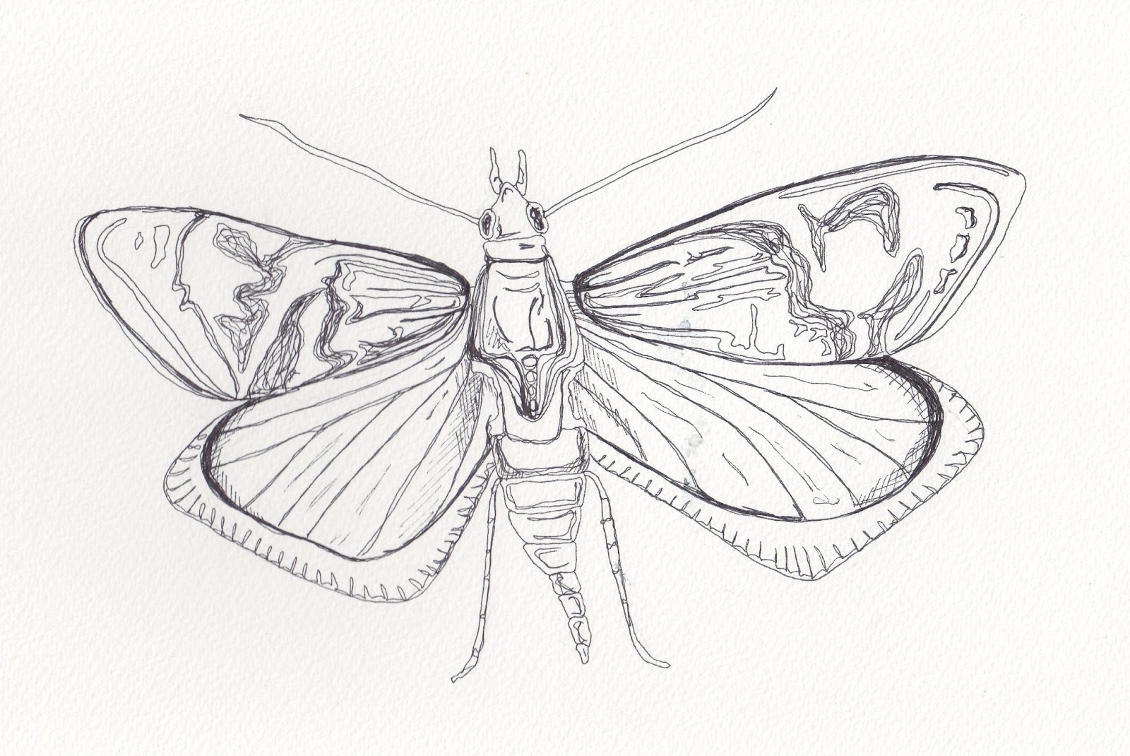 Yecats Wolliw: March 2013