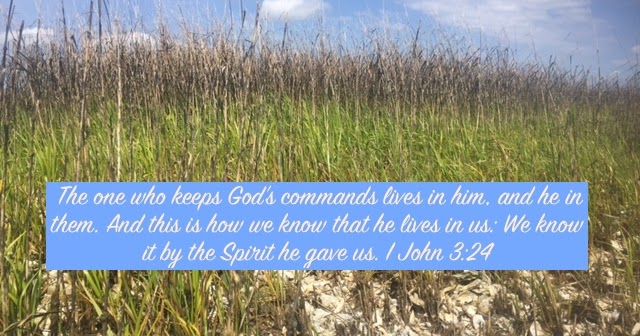 My Strength: I John 3: 24 - "Overwhelmed"