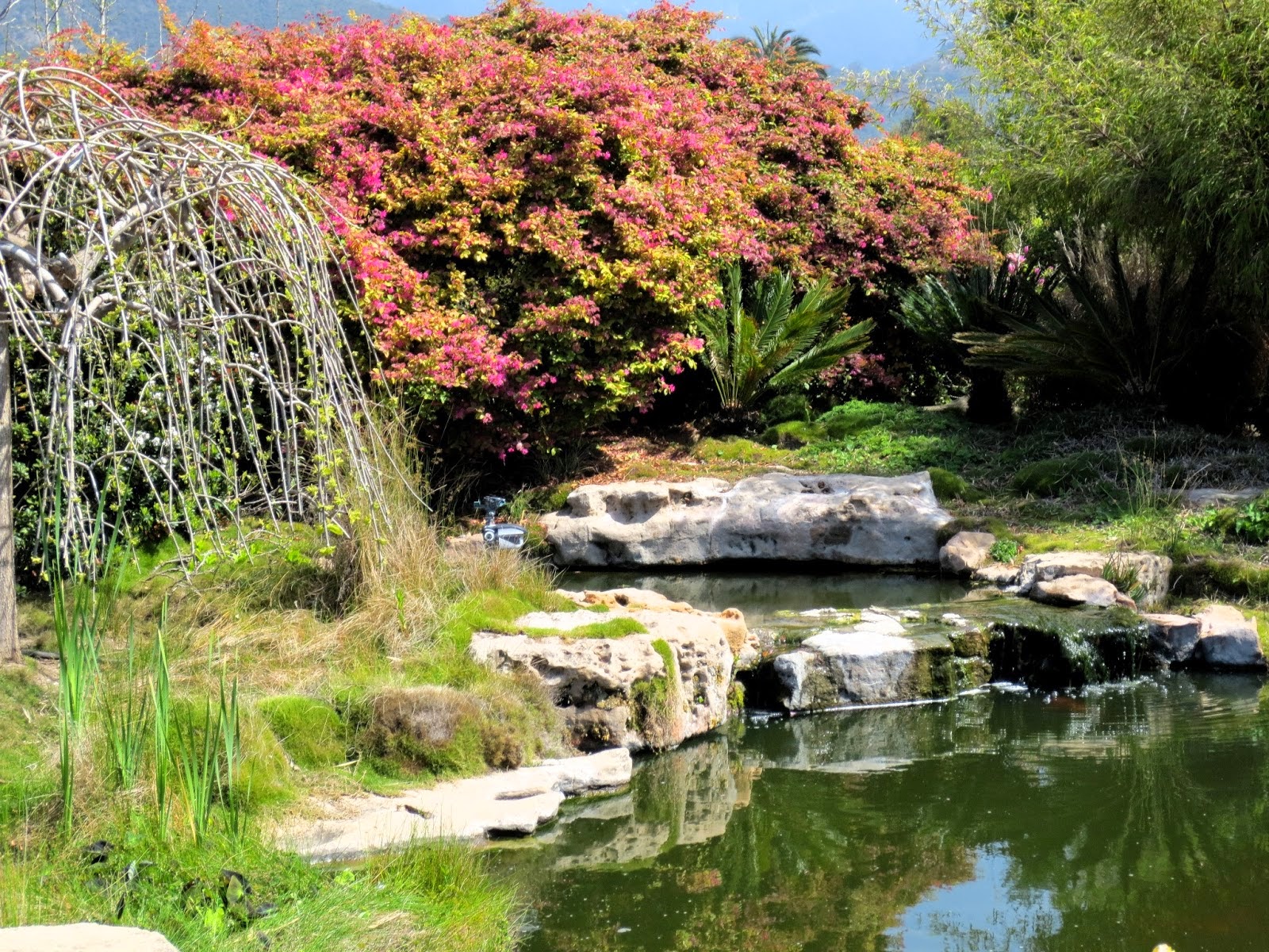 kipot anyong tubig - philippin news collections