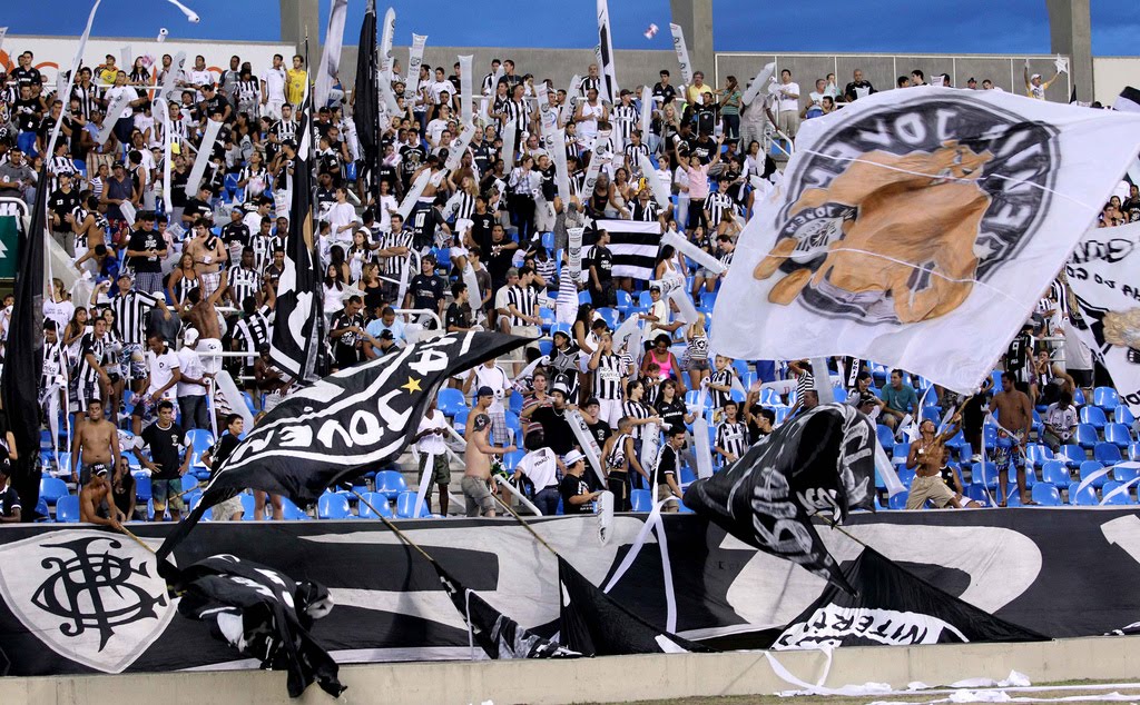 Bandeiras Botafoguenses: Fúria Jovem no Engenhão