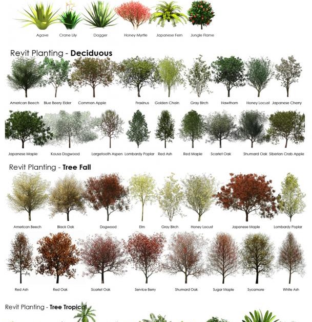 #Revit RPC Plant and Tree Reference Guide | TheRevitKid.com ...