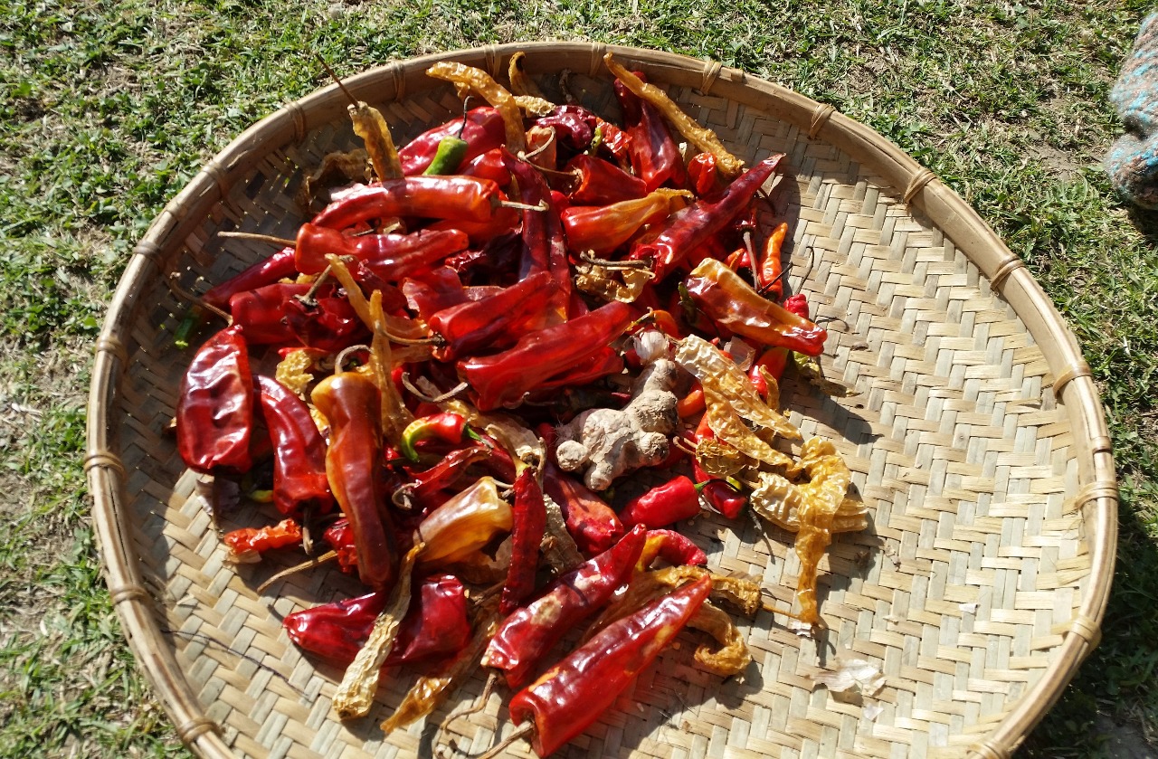 Bhutan Travelogue, Part 4: Paro Valley | Foodaholix