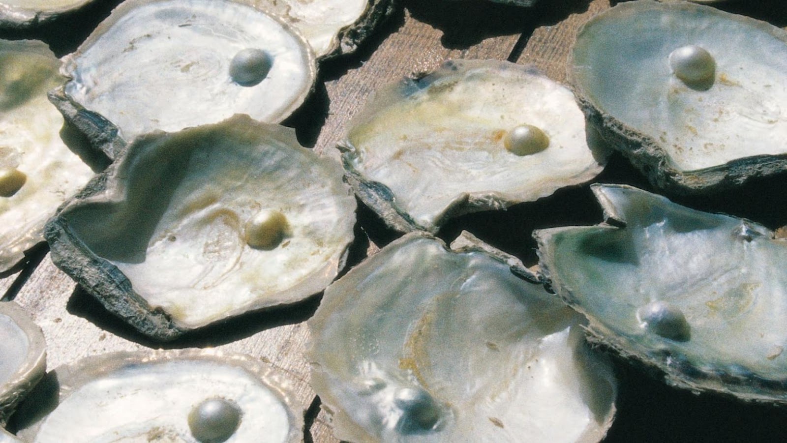 Perlas en la ciudad - Perth