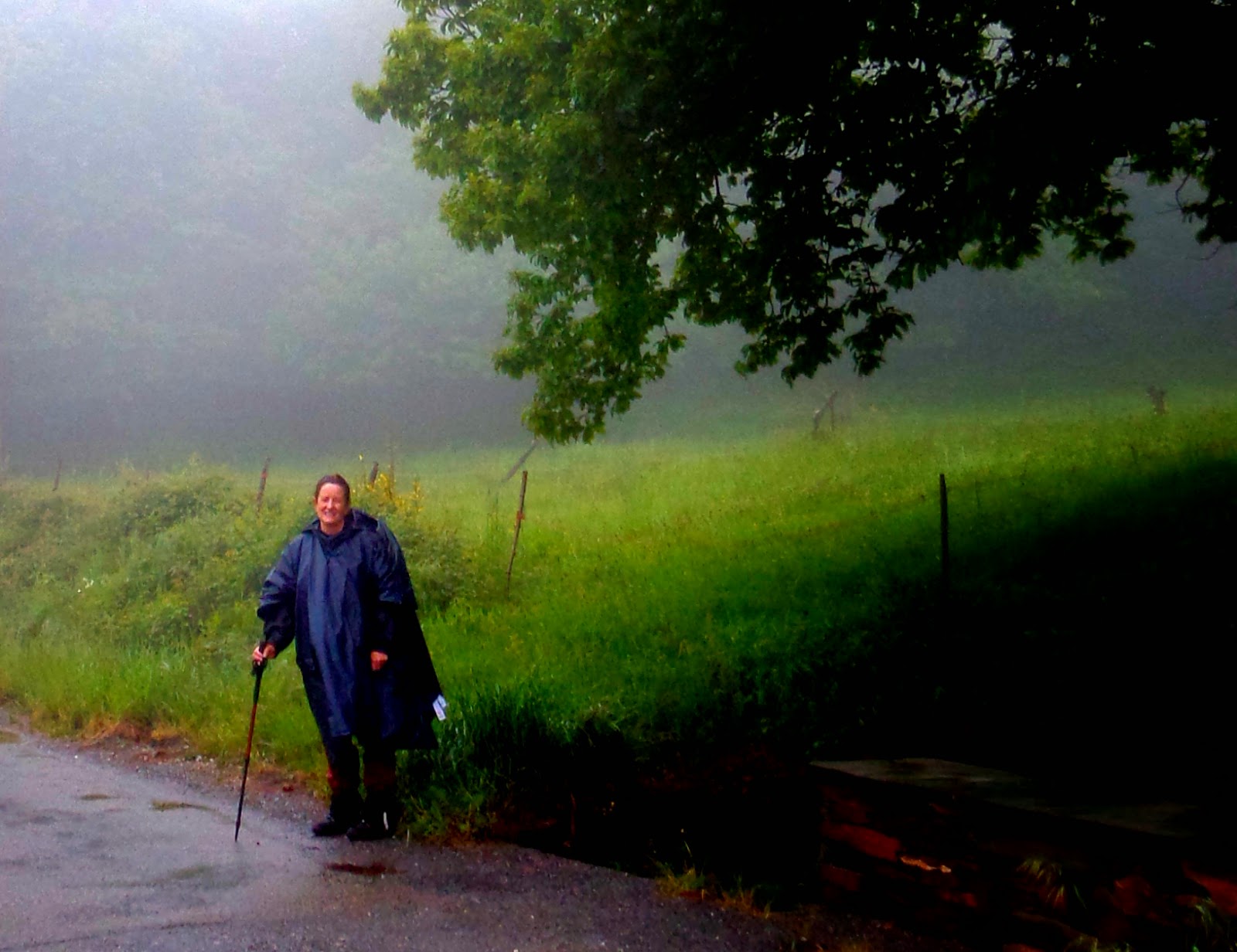 Fotografiando Cumbres: Camino Francés, Triacastela a Sarria. 21 Km