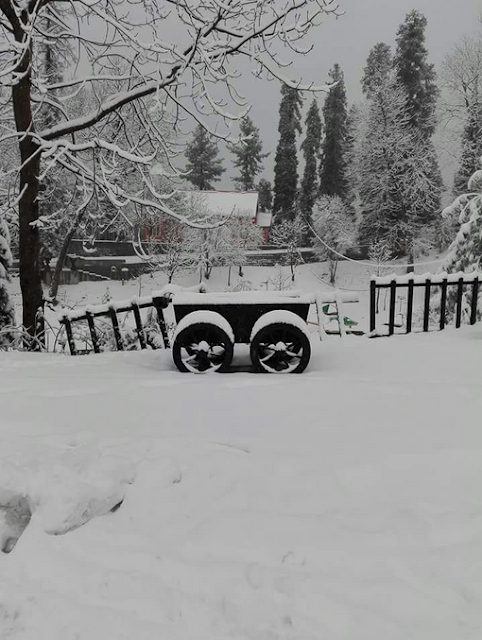 Arjunpuri in Qatar: First snows transform Kashmir into a mystical ...