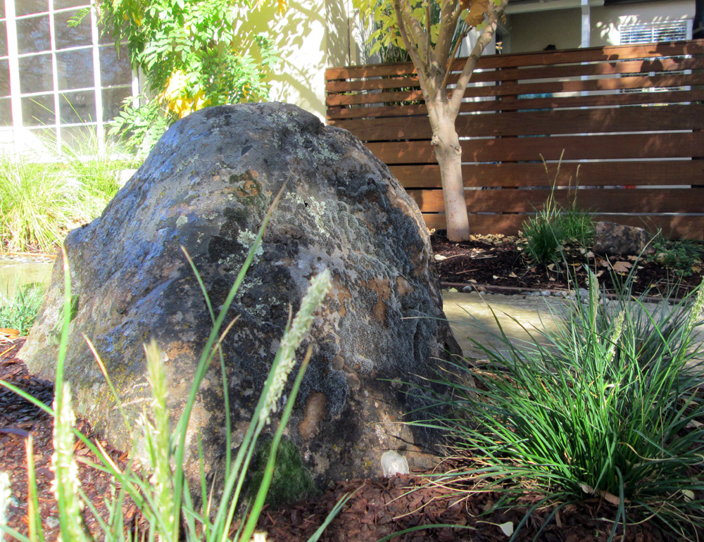 Taproot Garden Design & Fine Gardening