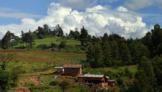 The Tenwek Phenomenon