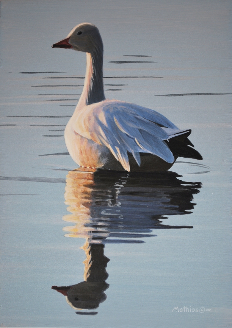 The Art of Peter Mathios: Morning Light - Snow Goose