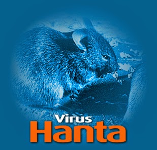 Prevencion del Virus Hanta: Prevencion del virus hanta