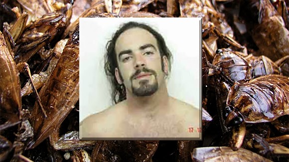 Wackiem o sosnę: Śmierć w oparach absurdu