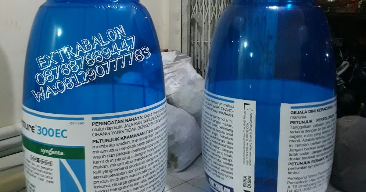 Balon Botol: BALON BOTOL TANGERANG