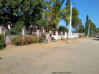 Pillalamarri Banyan Tree in Mahabubnagar - Indian Temples List