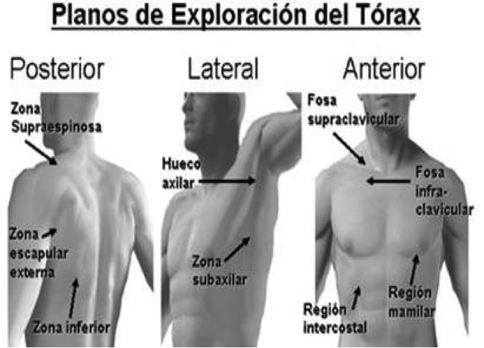 Leandra Tejada: Examen del torax y del aparato respiratorio