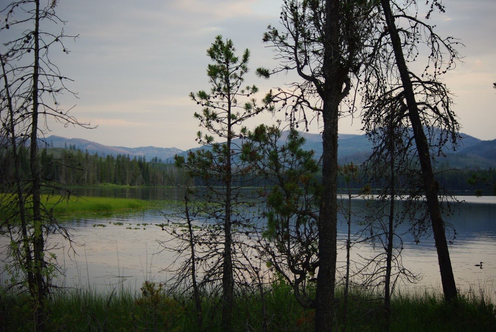 Dutch Love Family: Warm Lake, Cascade, Idaho