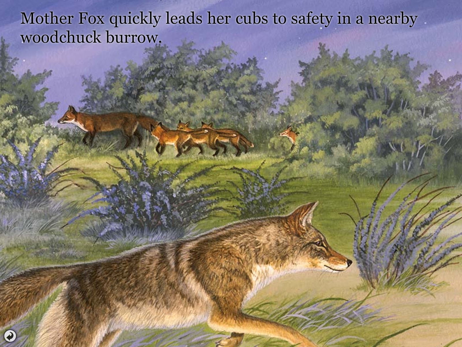 AppAbled: Red Fox at Hickory Lane - Smithsonian's Backyard - Review