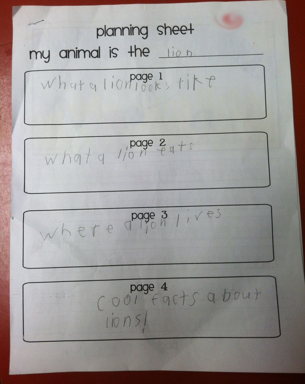 Fall Into First: ZooPals Animal Reports