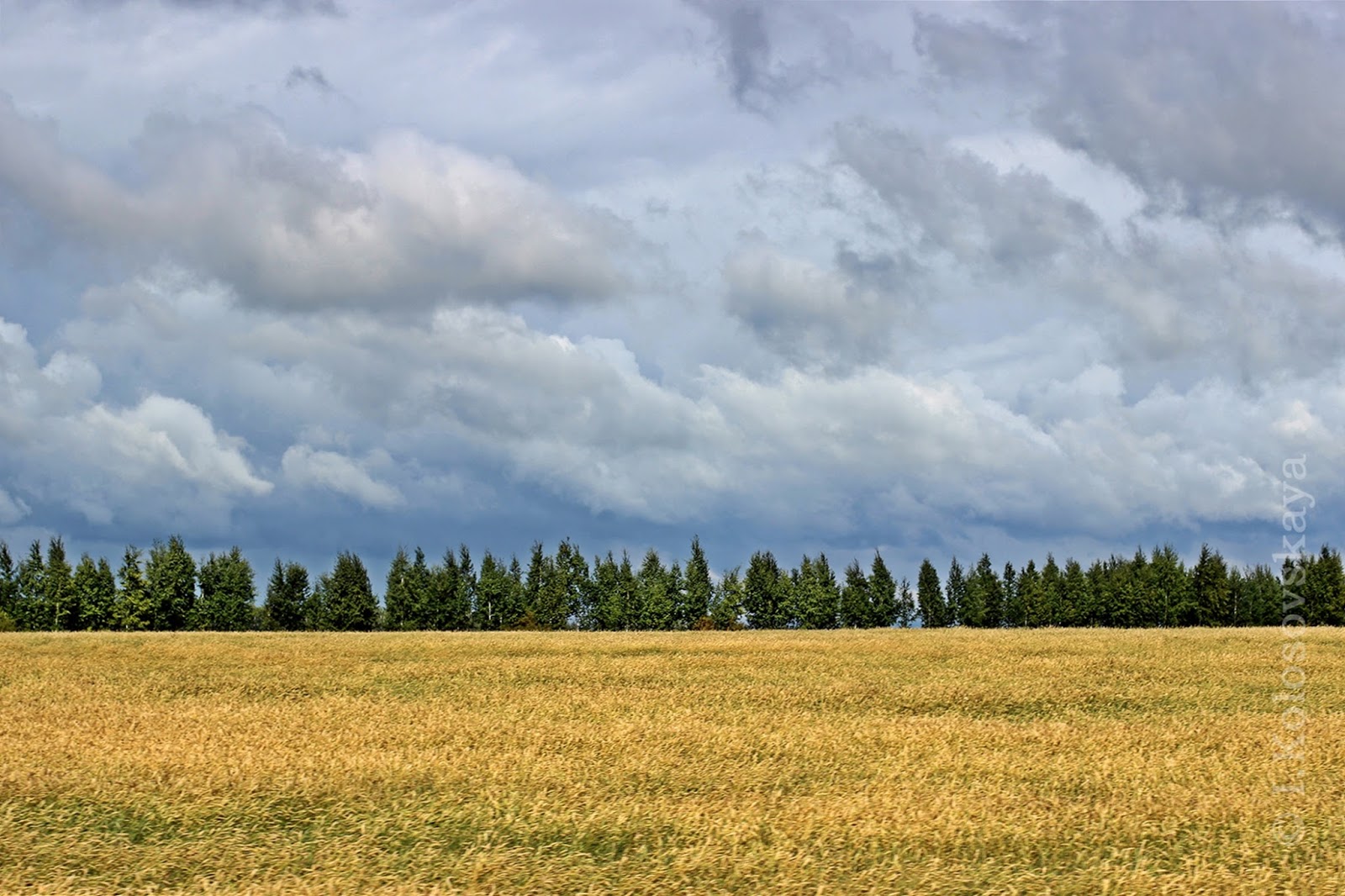 Photo Hacks Placement Of The Horizon In The Composition 