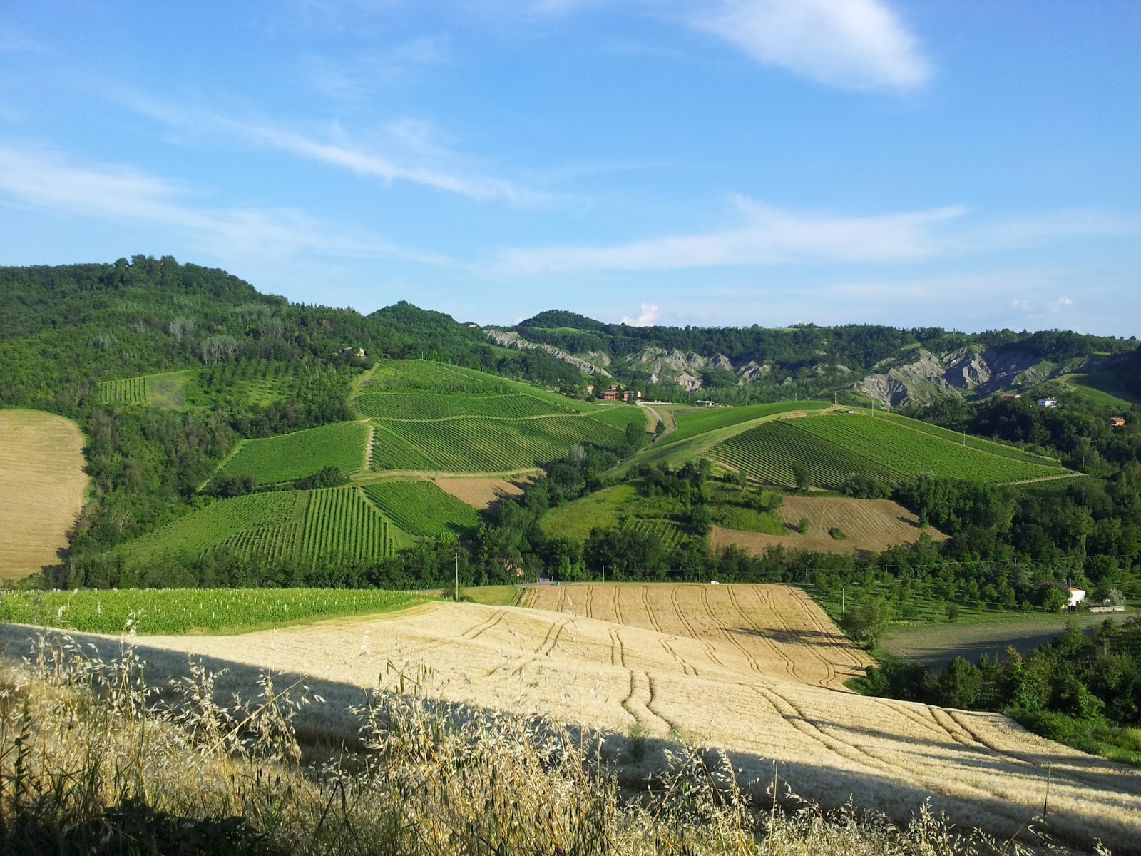 Alla scoperta delle bellezze dei colli bolognesi - La Velina Verde
