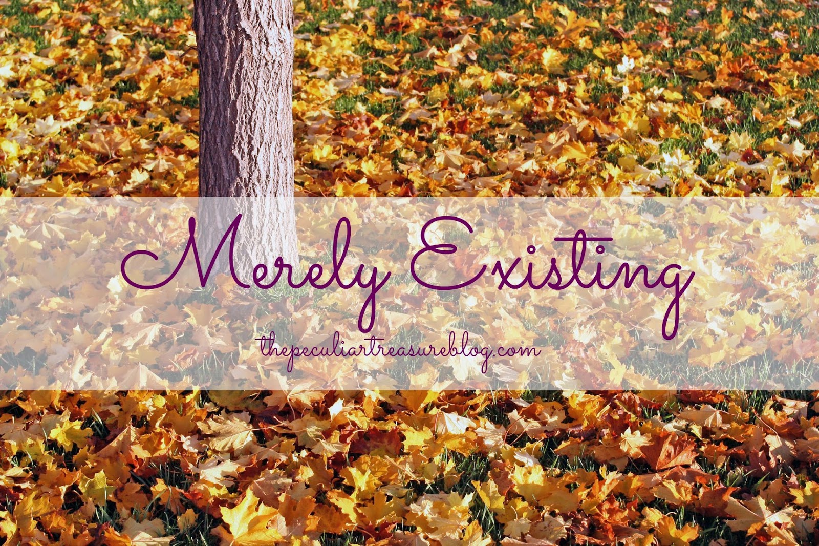 The Peculiar Treasure: Merely Existing