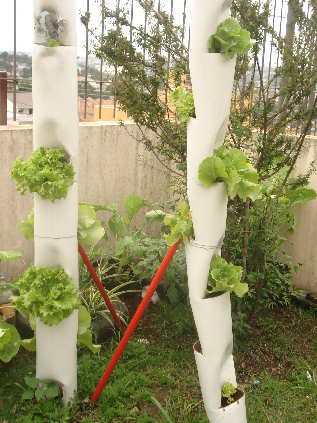 Fazendo Art: HORTA VERTICAL