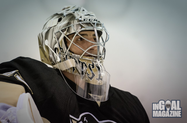 I Love Goalies!: Marc-Andre Fleury 2013-14 Mask
