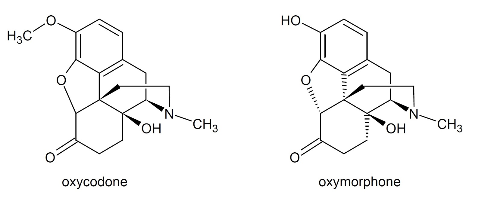 The view from my handlebars...: Opioids