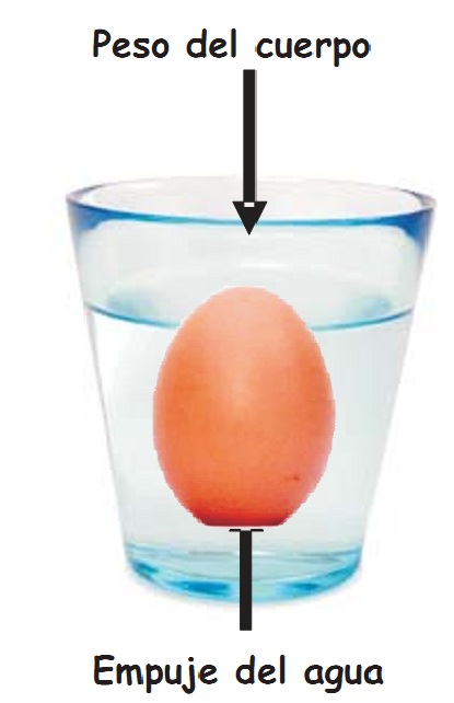 TiCOiDEAS: Experimento densidad 1 "El huevo que flota".