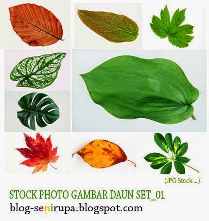 Stock Photo Gambar Daun Set 01